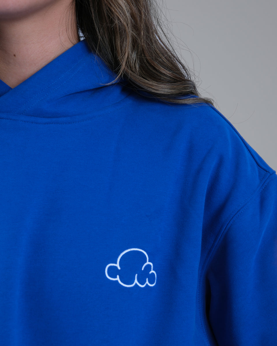 Cloud Hoodie | Heavyweight Comfort Hoodie with Built-In Stress Balls ...