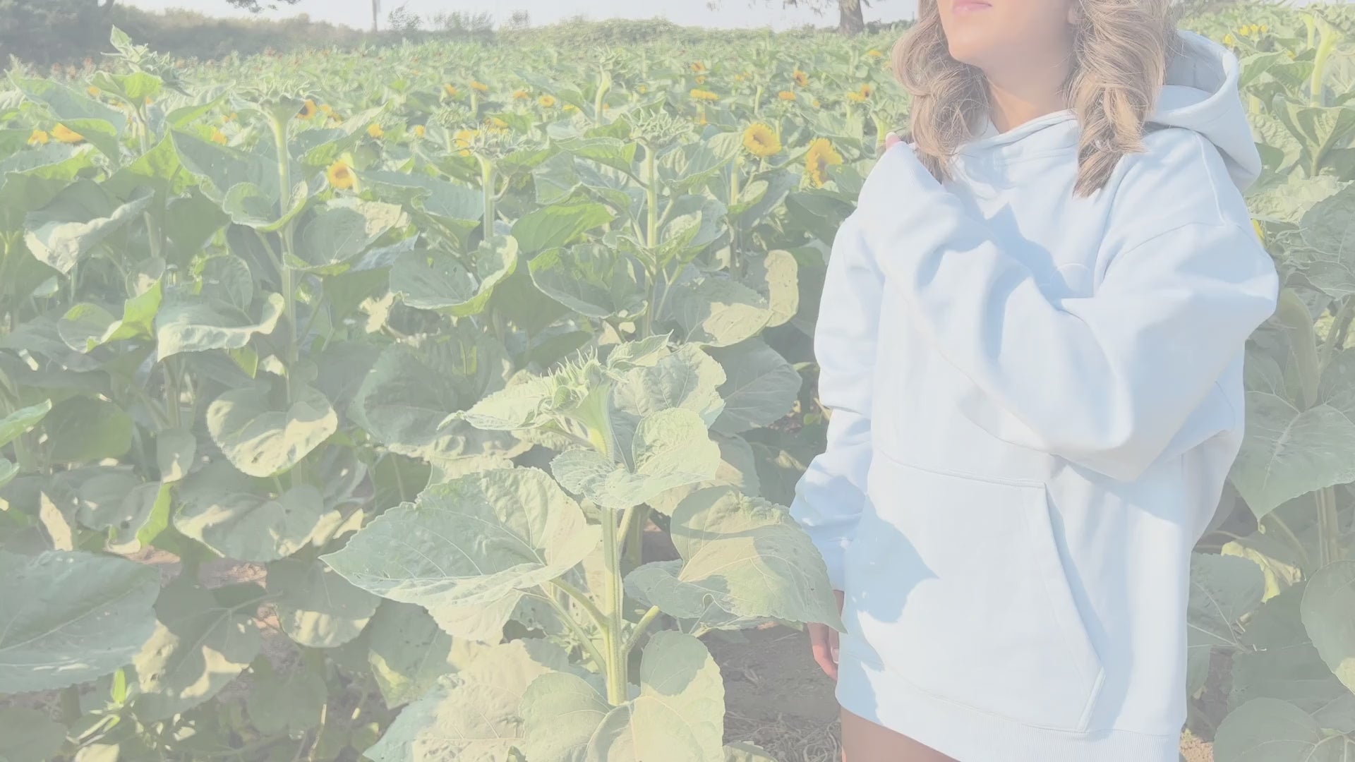 Ambassador - Men & Women Hodies Sale - Cloud Nine Clothing